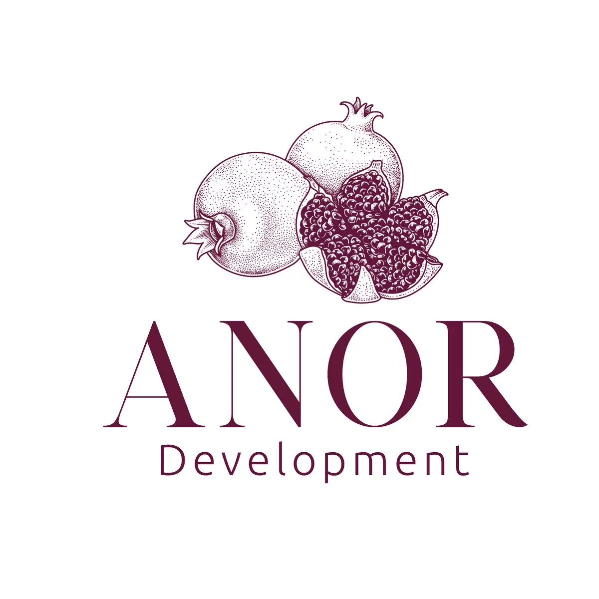 Застройщик Anor development
